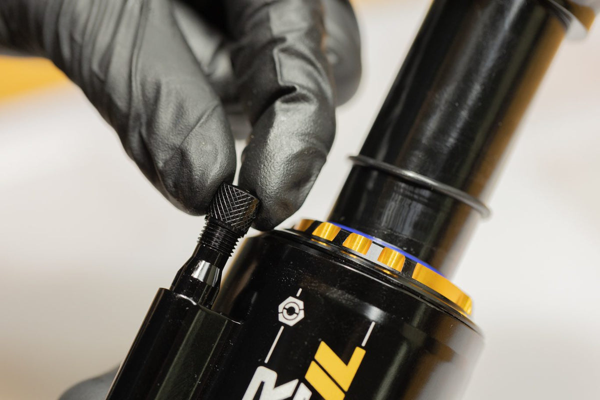 DBair IL Standard Mount Complete 100 Hour Service (Part 1 of 4)