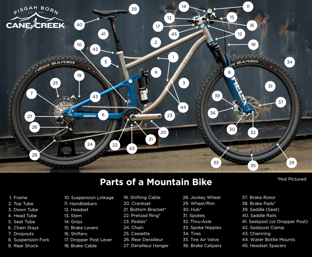 Intro To MTB: Understanding The Parts of a Mountain Bike